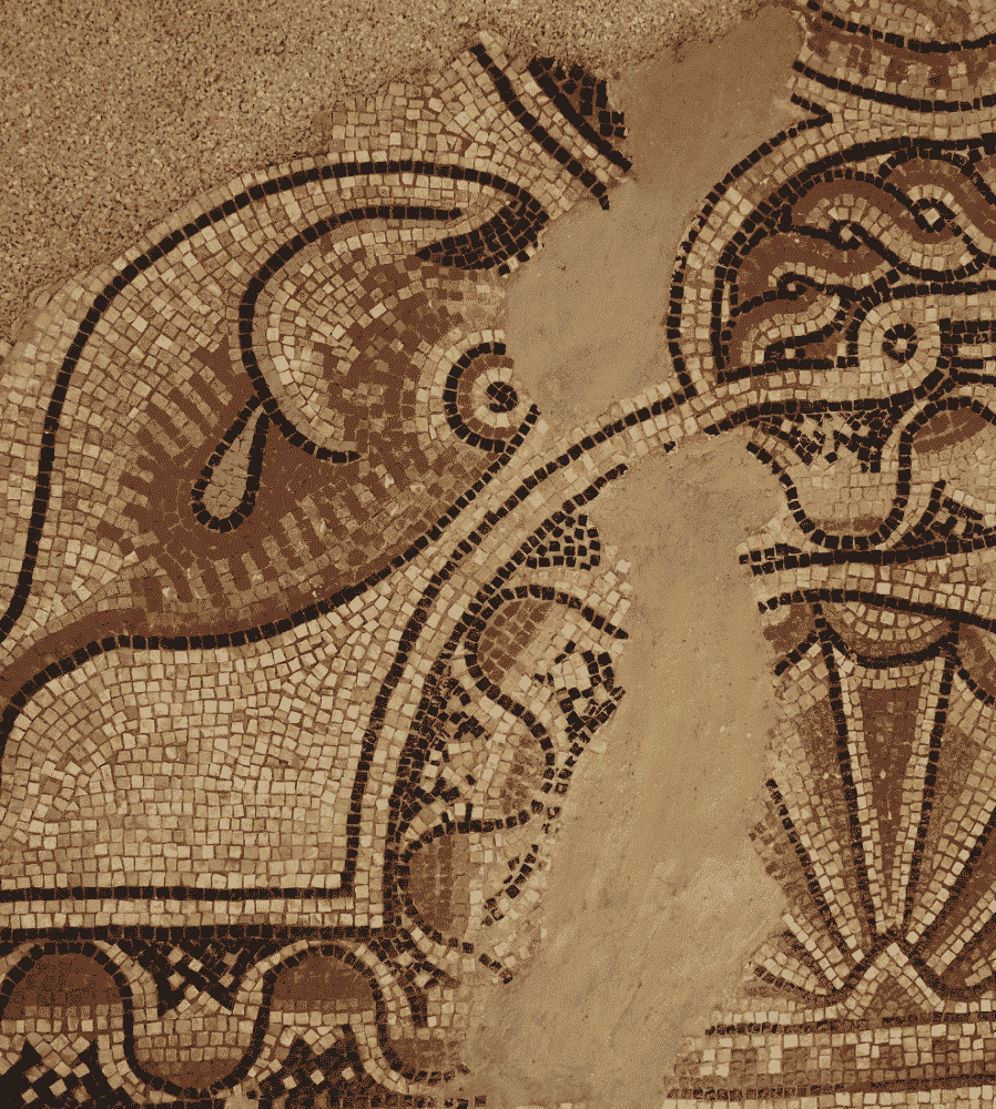 Visit Samaria, Sabastiya, Nablus, Nisf Jubeil | Pro Terra Sancta