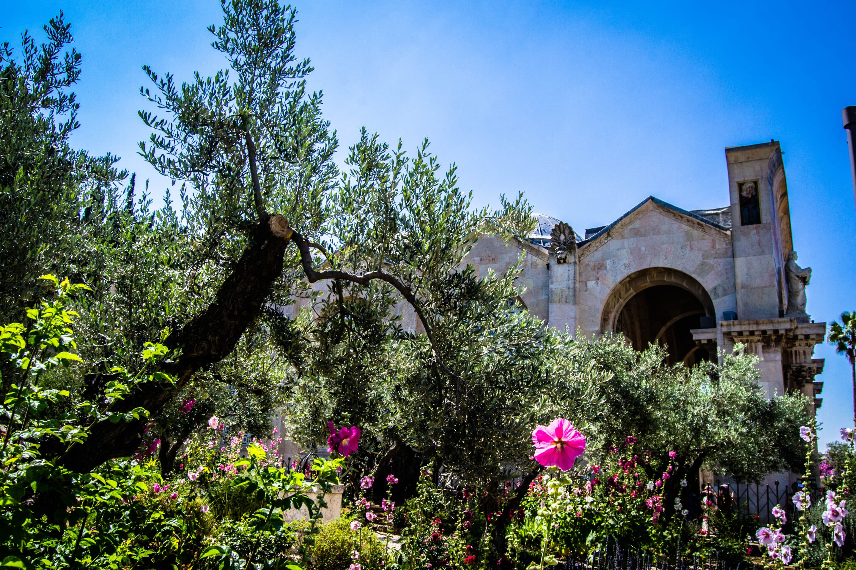 Holy Week 2024 | Pro Terra Sancta