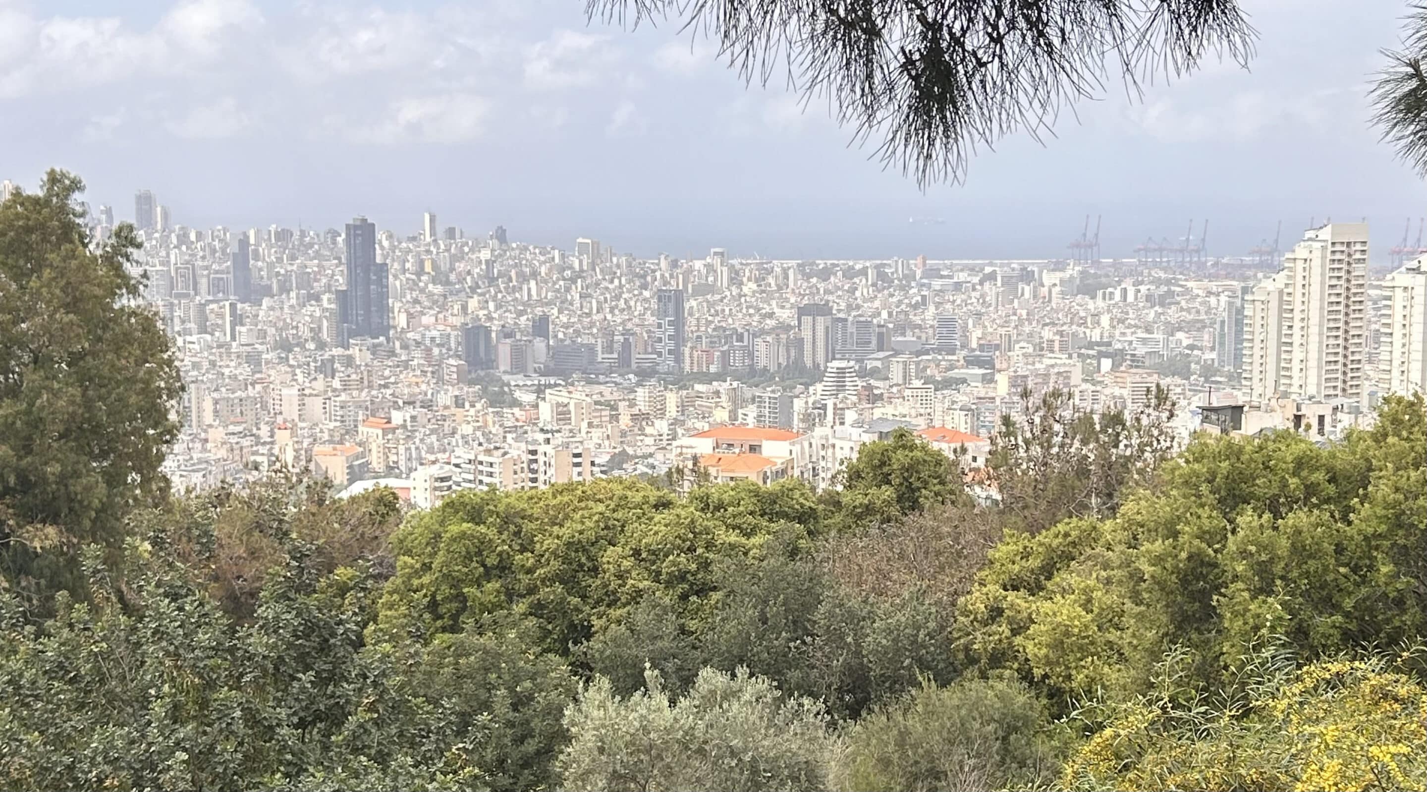 Lebanon: support for local charities | Pro Terra Sancta