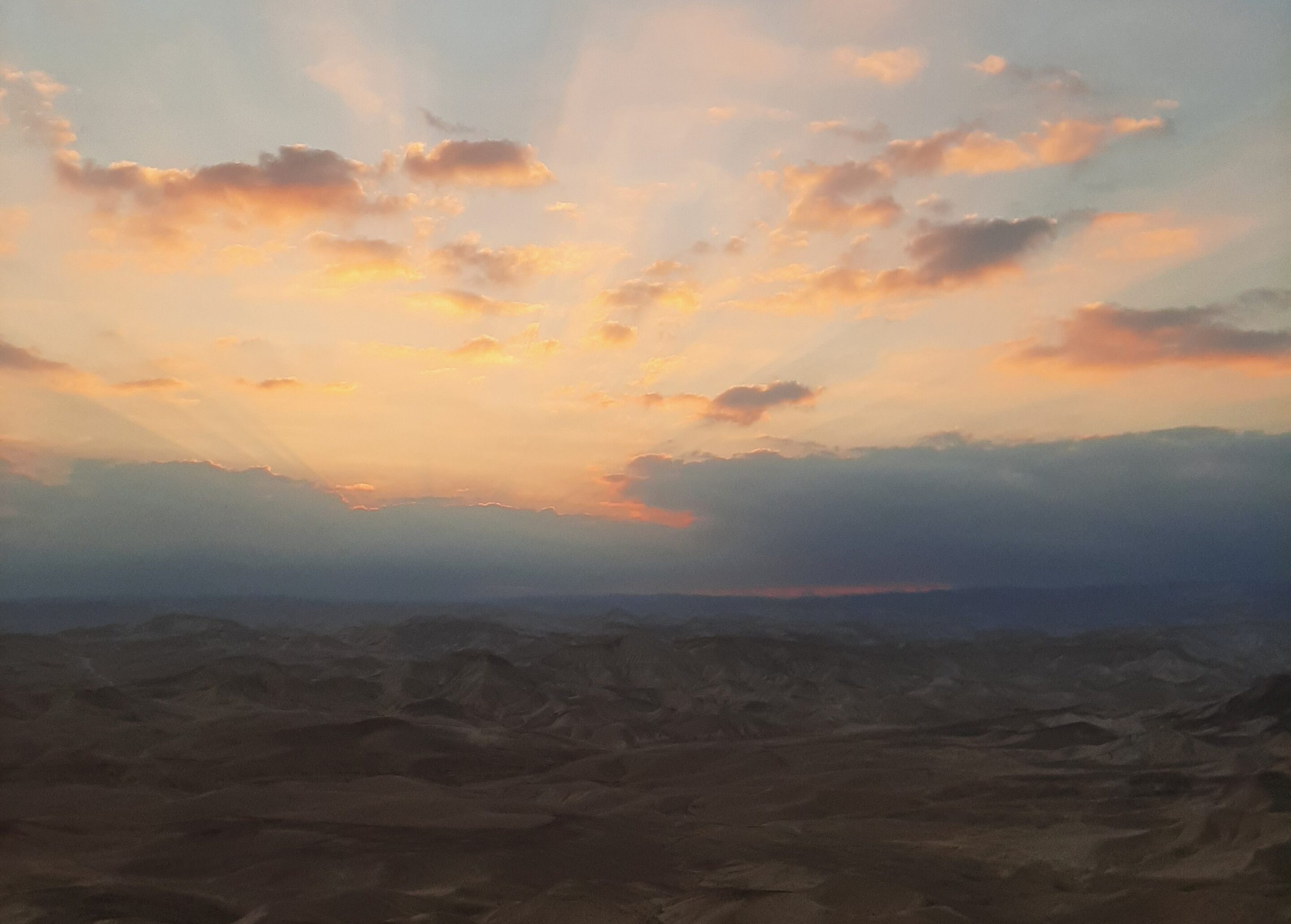 Gerico, tra le rose e la luna. Tutte le curiosità | Pro Terra Sancta