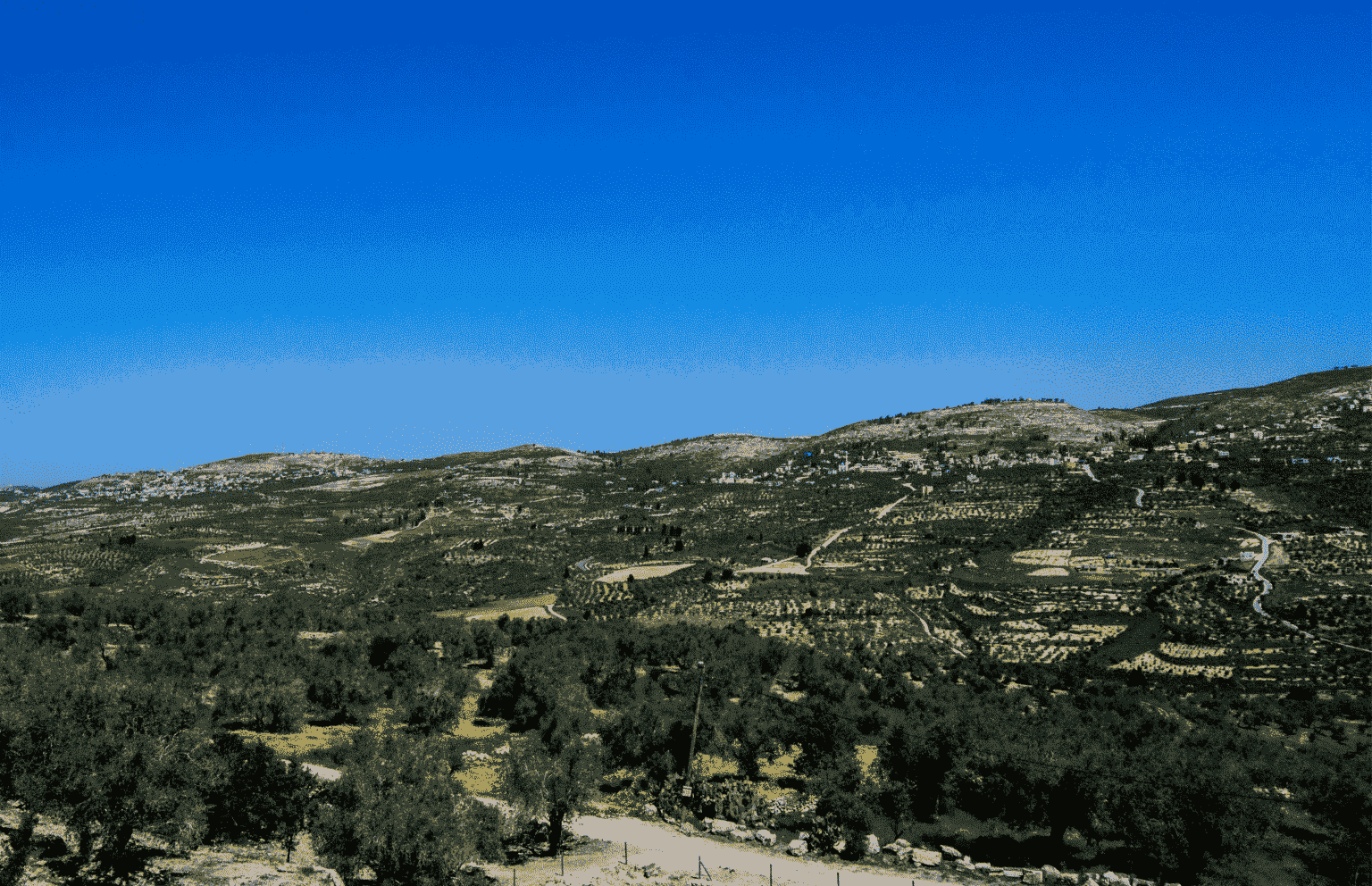Visit Samaria, Sabastiya, Nablus, Nisf Jubeil | Pro Terra Sancta